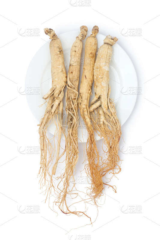 ginseng,人参,中医,垂直画幅,褐色,无人,干的,特写,活力,健康生活方式