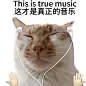 this is true music表情包emoji - 抖音-花瓣网