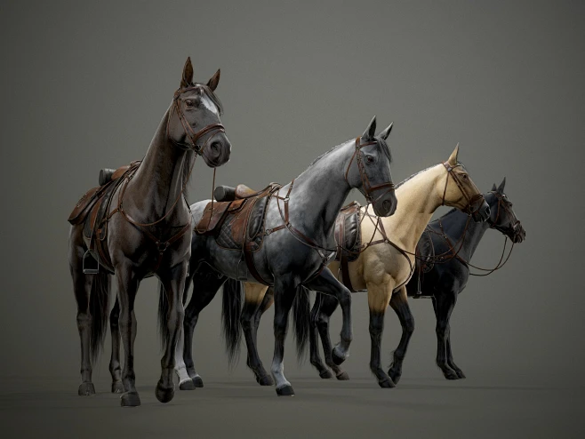 More game ready horses, Pogar Marius : So these are the other horses ...