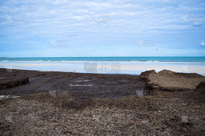杰尔巴岛地中海海岸。Ras Rmel半岛
