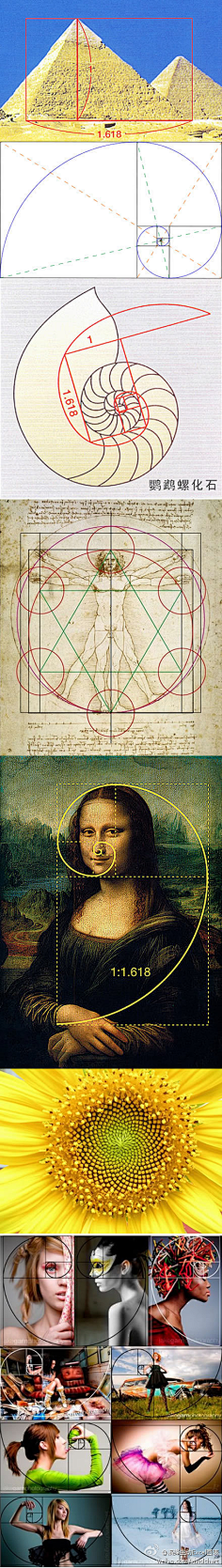 1.618-花瓣网|陪你做生活的设计师 | 教程点这里http://t.cn/zR62r1A【野性之美】爬行类生物漂亮的眼睛！http://t ...