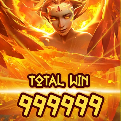 超级凤凰的资产-花瓣网