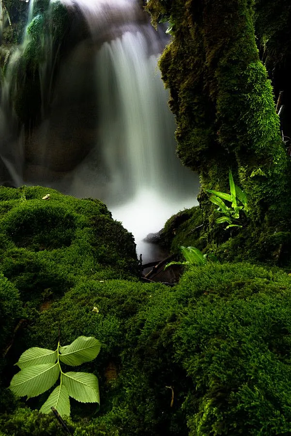 Cascade Des Tufs - Jura Mountains, France-花瓣网