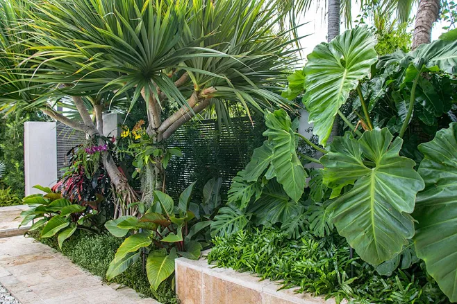 Click to close image, click and drag to move_ Use arrow keys for next and previous_ (1)-花瓣网