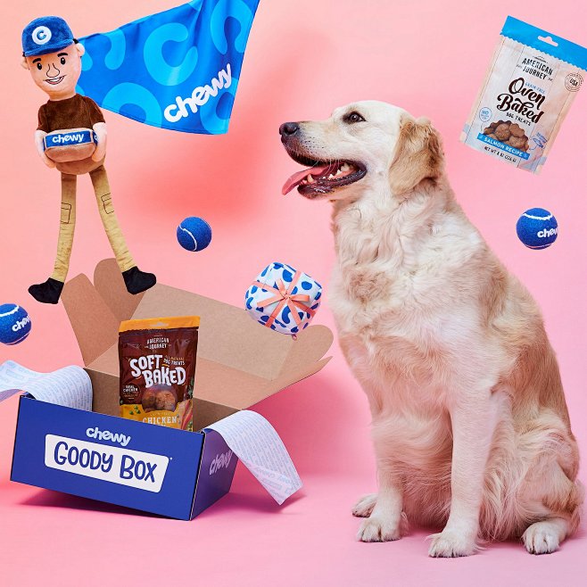 GOODY BOX Chewy Toys, Treats, & Bandana for Dogs - Chewy.com : Buy ...