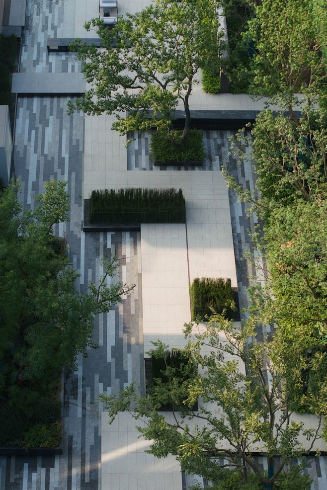 金昌·烟波星鹭 - hhlloo