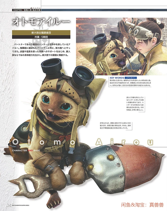 DIVE TO MONSTER HUNTER_ WORLD モンスターハンター_ワールド 公式設定資料集_页面_035-花瓣网