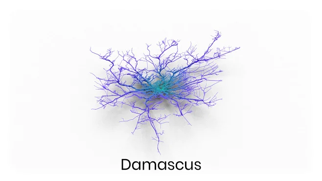 damascus.jpg-花瓣网