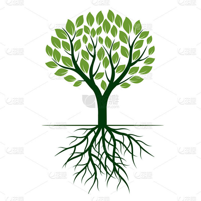 绿树和根。矢量图.