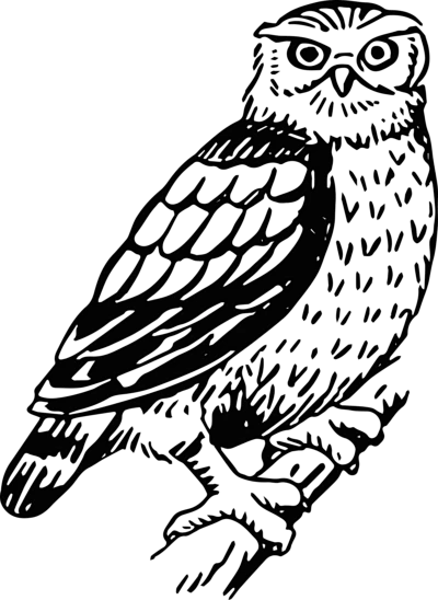 【米图网-52mitu.com】猫头鹰 威严 简笔画 ss猫头鹰-花瓣网