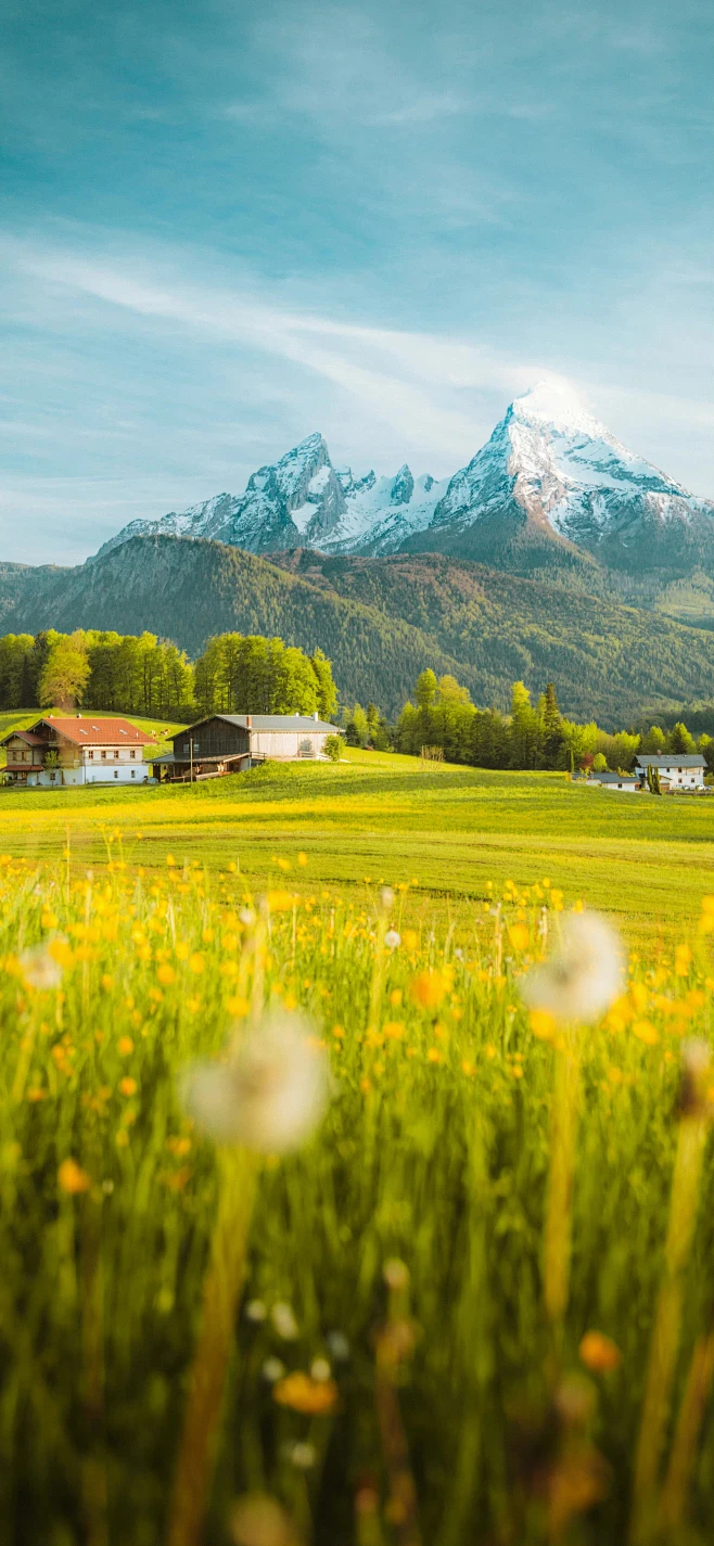 花瓣灵感详情页-花瓣网