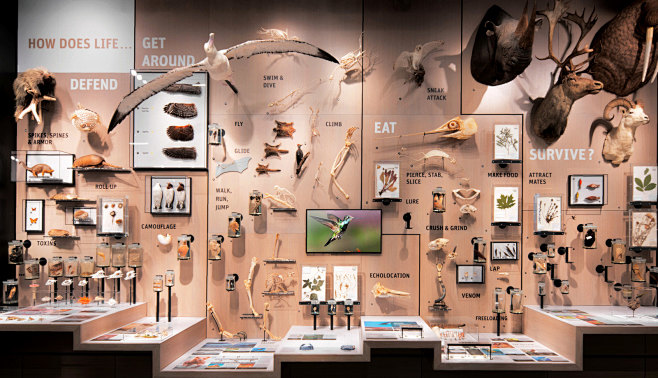Natural Science Popularization Exhibition 项目 | Behance 上的照片、视频、徽标、插图和品牌