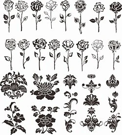 玫瑰花剪影-花瓣网