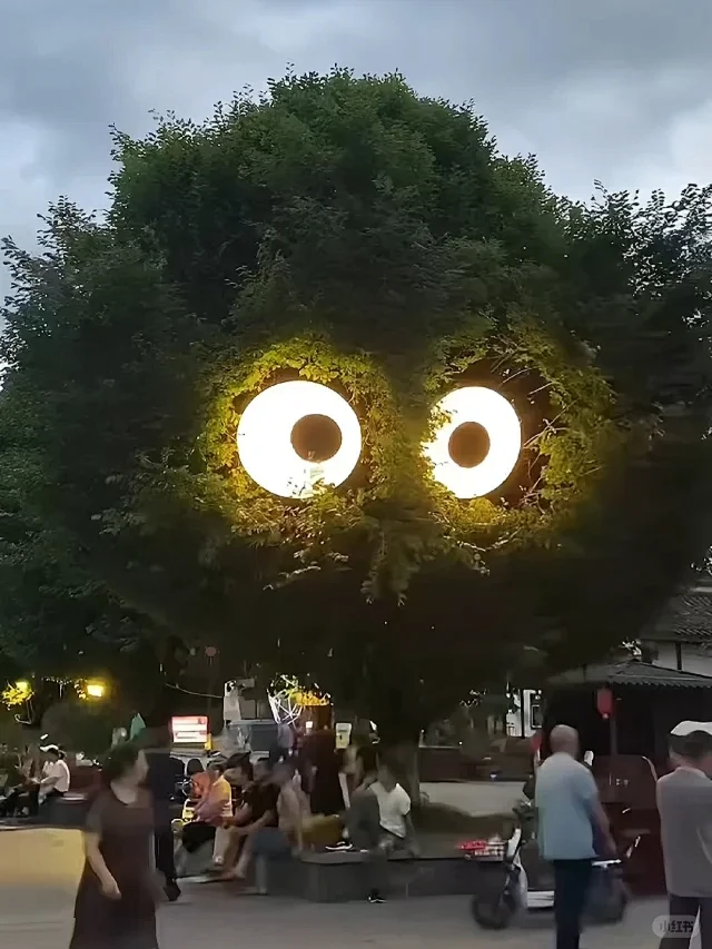 灯光互动 - 小红书搜索-花瓣网