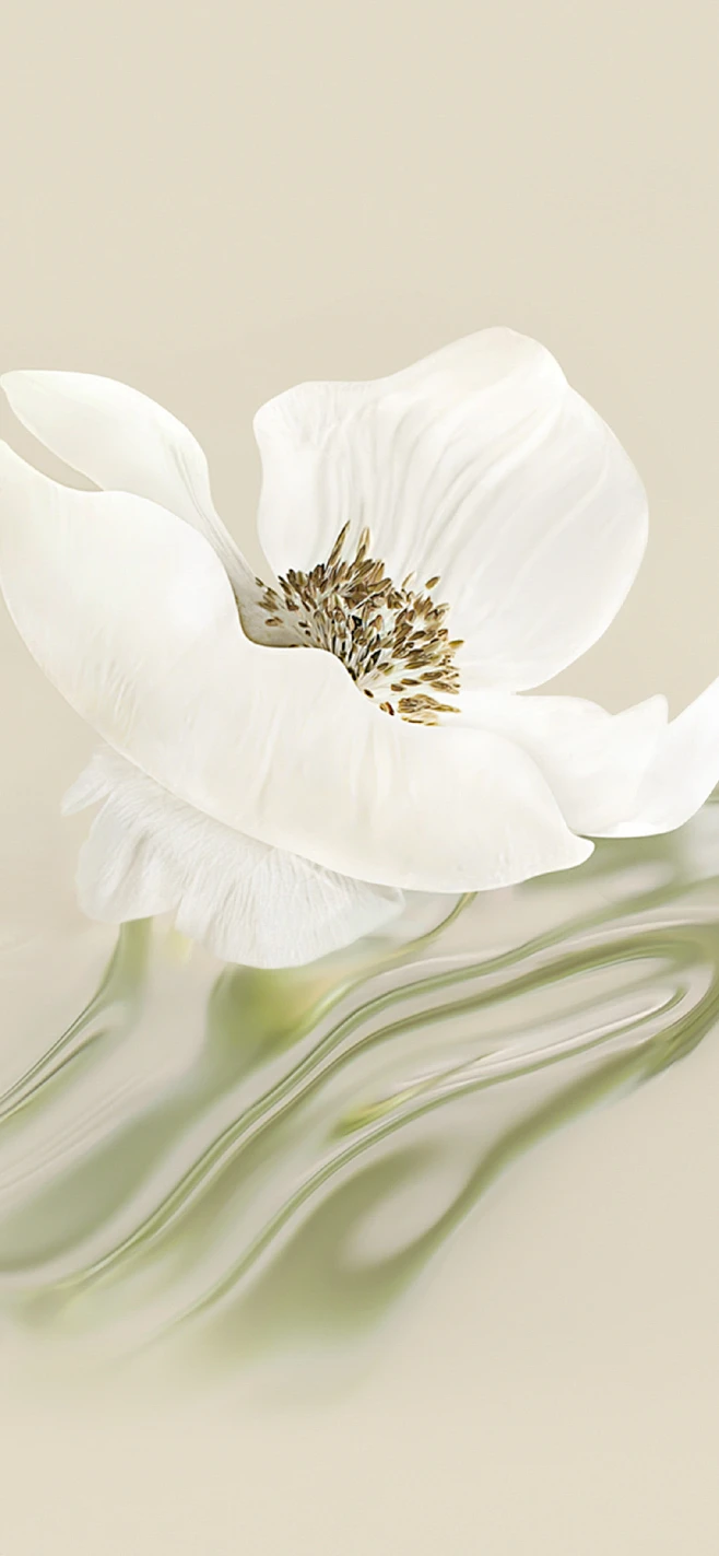 微博搜索-花瓣网