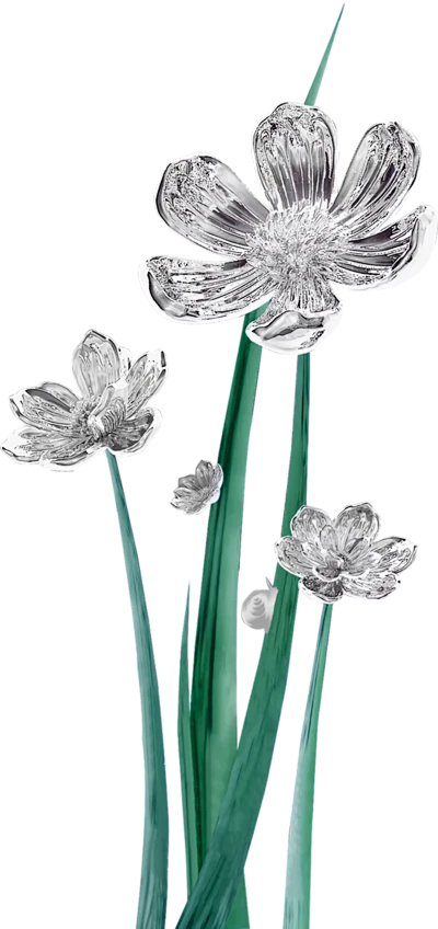 【米图网-52mitu.com】花朵 立体 水晶 金属 酸性 植物 高端 品质立体水晶花朵-花瓣网