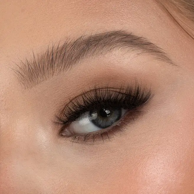 Lithe Lashes Bold Collection Style B1 - Tapered & Winged, a close up ...