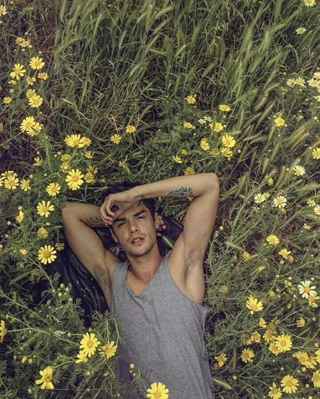 Alajos among the wildflowers-花瓣网