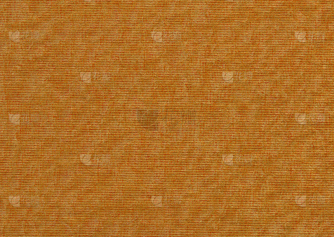 杰出论文:Rich and Brown