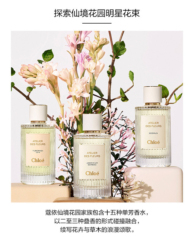 Chloe/蔻依仙境花园香水北国雪松木兰诗语女士香氛-tmall.com天猫