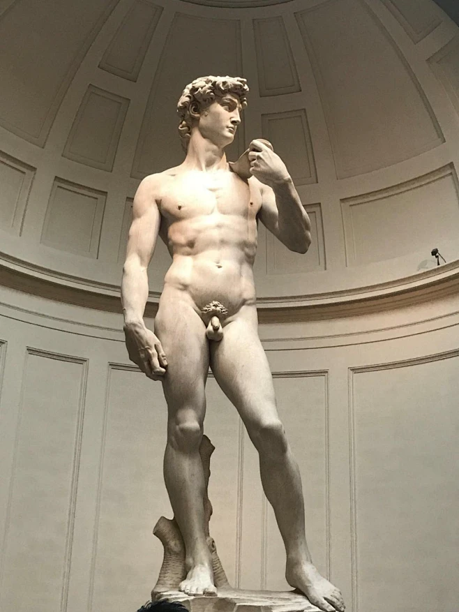 意大利 米开朗基罗-大卫-花瓣网