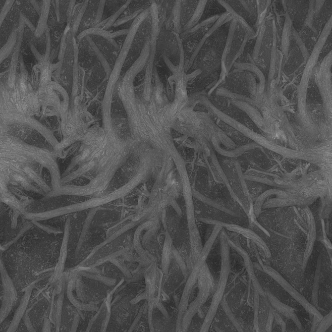 Roots-01_BUMP_4k-花瓣网