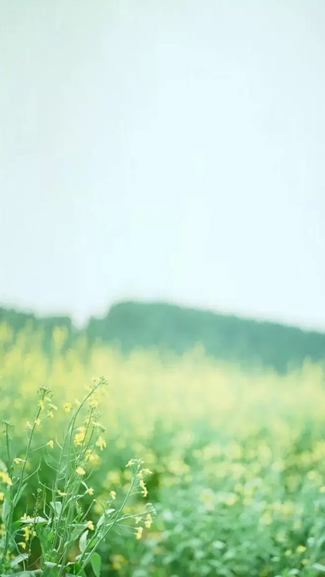 花瓣灵感详情页-花瓣网