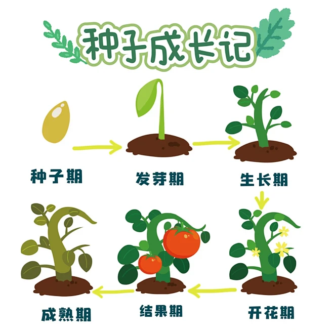 花瓣灵感详情页 花瓣网