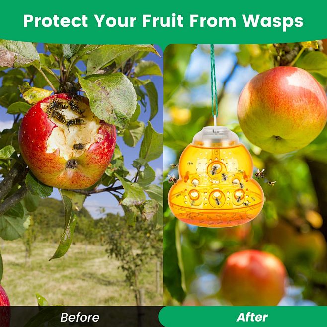 Amazon.com : Solar Wasp Trap Outdoor Hanging - New Upgrade LED Blue ...