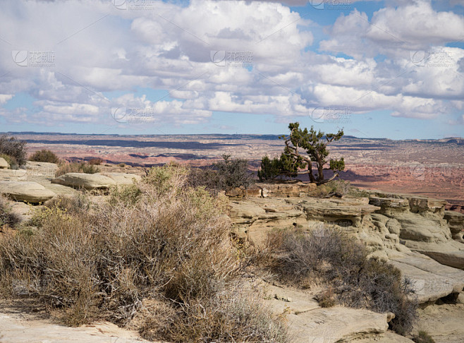 崎岖的地形俯瞰犹他州的圣拉斐尔Swell