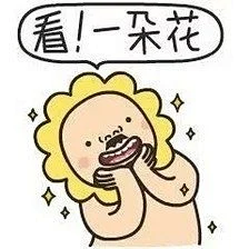 漂亮表情包_360图片-花瓣网