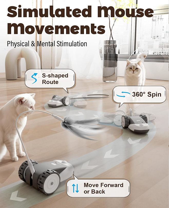 Amazon.com : CYROS 3-in-1 Interactive Cat Toy - 2-Speed Automatic ...