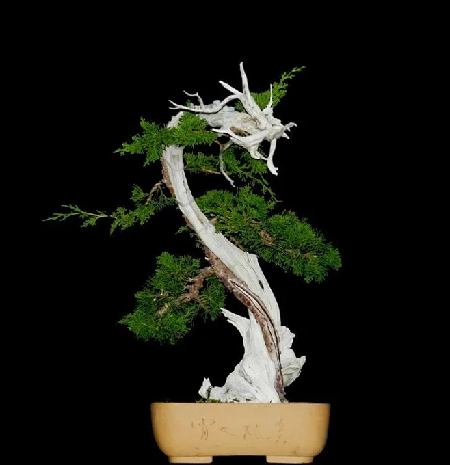 (1253) Pinterest-花瓣网