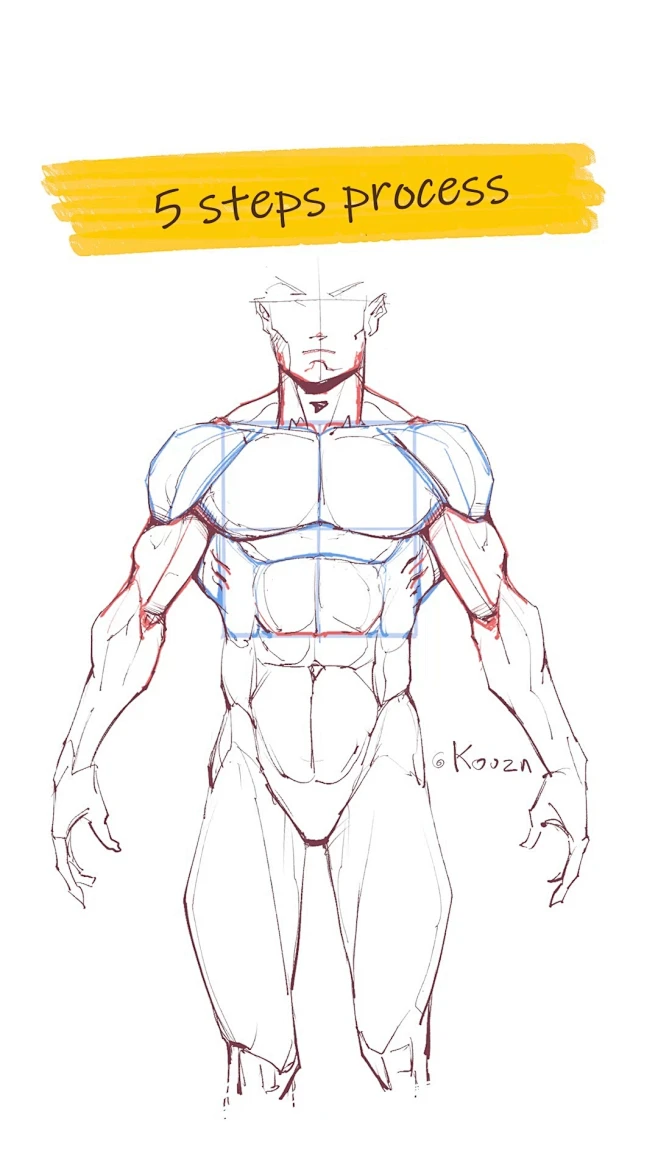 Torso construction step by step. 1/2 I'm working on a Drawing book # ...