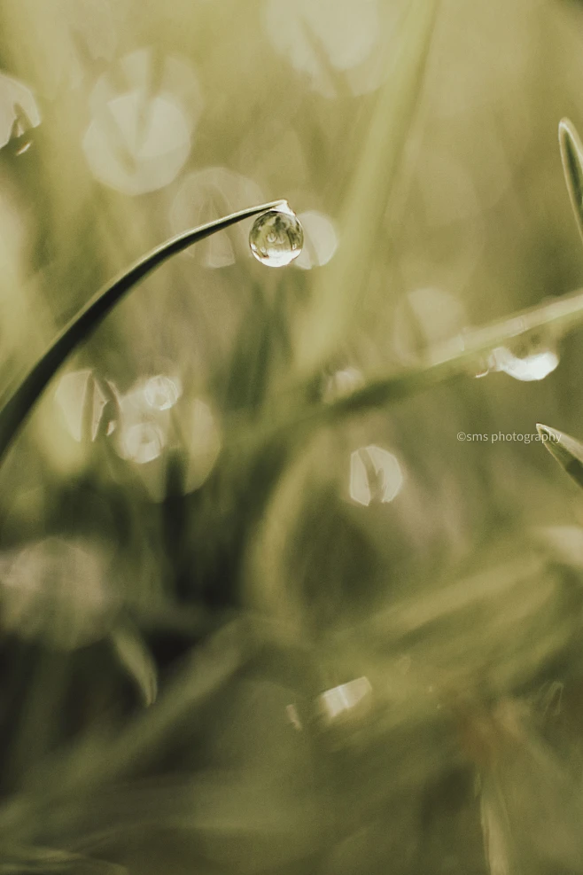 MACRO :: Behance-花瓣网