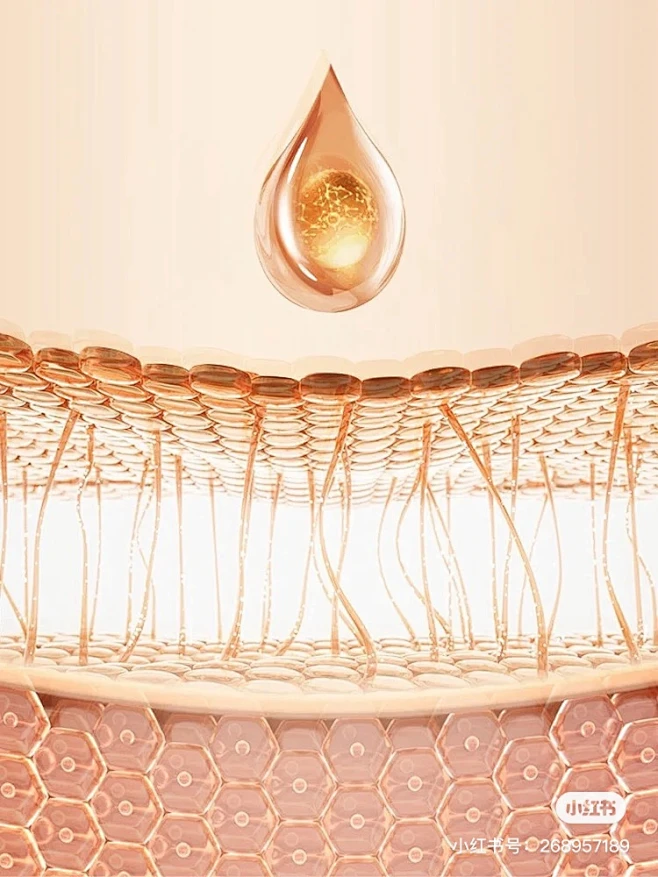 IMG_9841(20230207-010047)-花瓣网