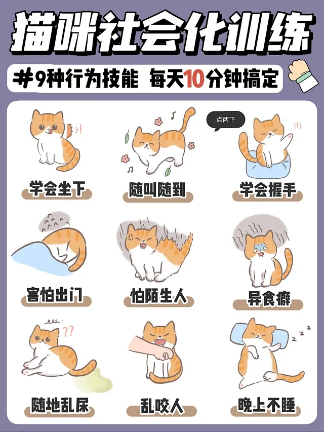 科学训猫 - 小红书搜索-花瓣网