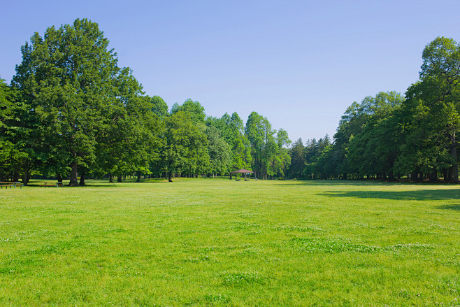 efc0f0cbec86597d6a8ad96070f7ad9d39a60d2e1179a8d-nIknhn