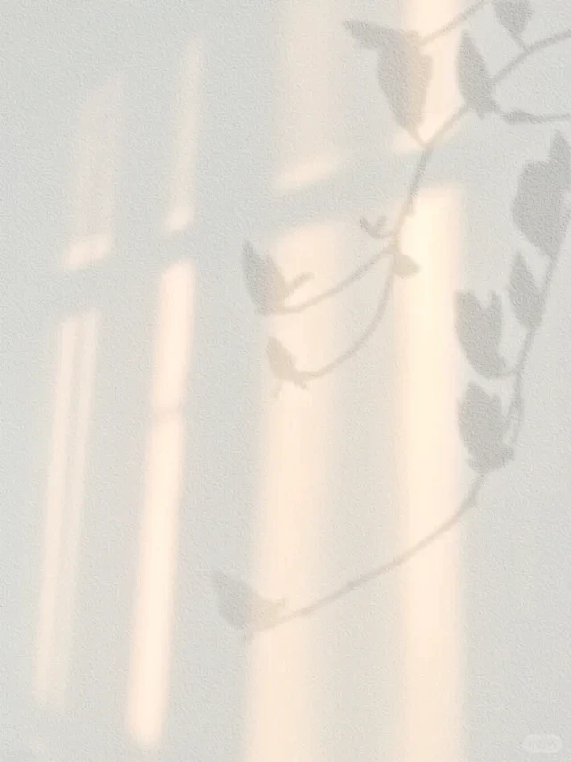 光感背景图高级 - 小红书搜索-花瓣网