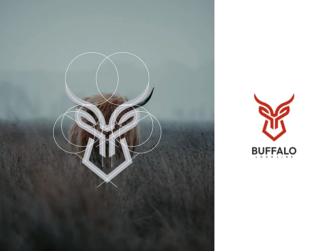 Buffalo Logo Line by MAXSTRIM_GRAPICH on Dribbble-花瓣网