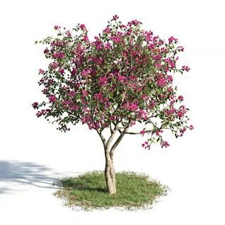 开花小乔木3d模型-花瓣网