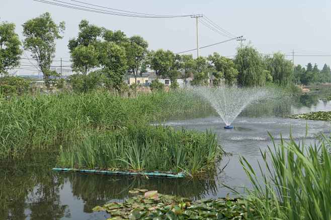 src=http%3A%2F%2Fwww.xhby.net%2Fjs%2Fsh%2F202006 ...