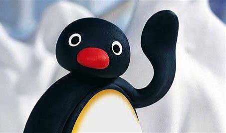 pingu动图 的图像结果