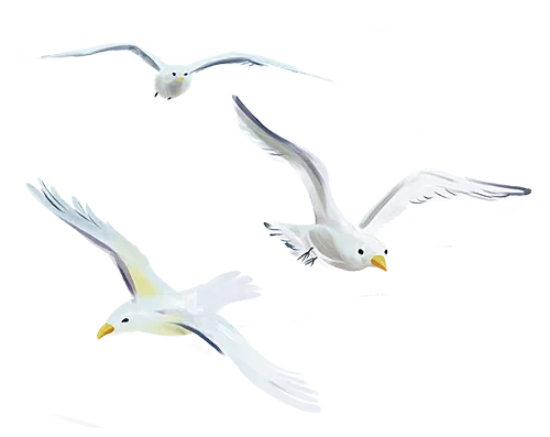 (4 条消息) 草稿 - 秀米XIUMI