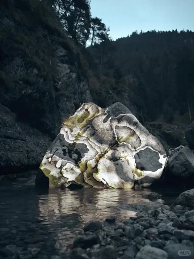 石头投影故事 - 小红书搜索-花瓣网