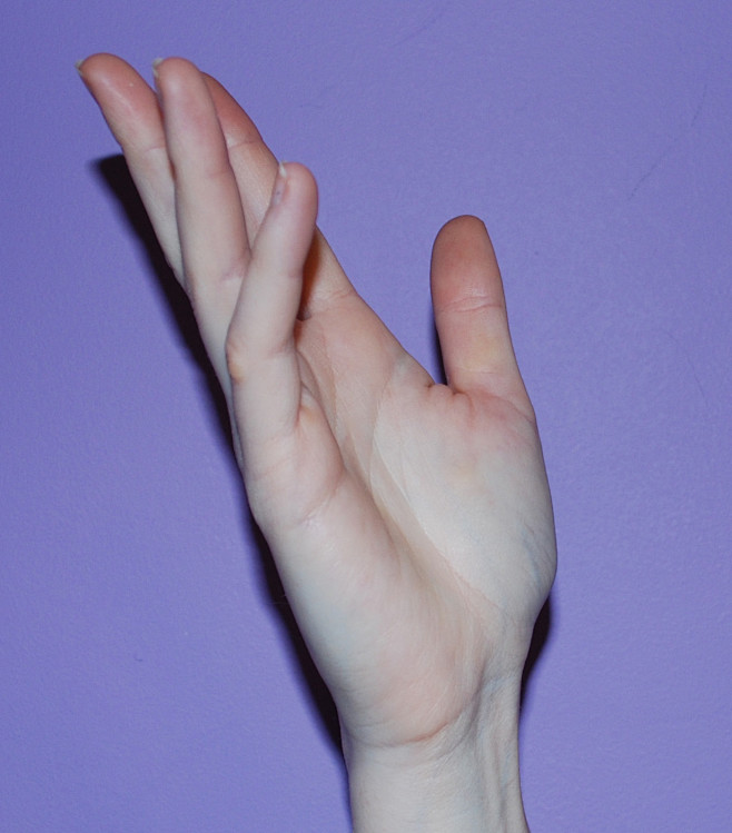 手的动作姿势 (157)