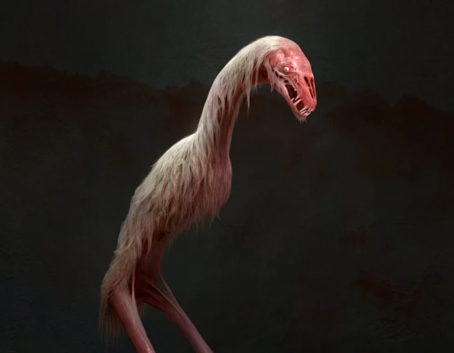 roberto-padula-nos5-花瓣网