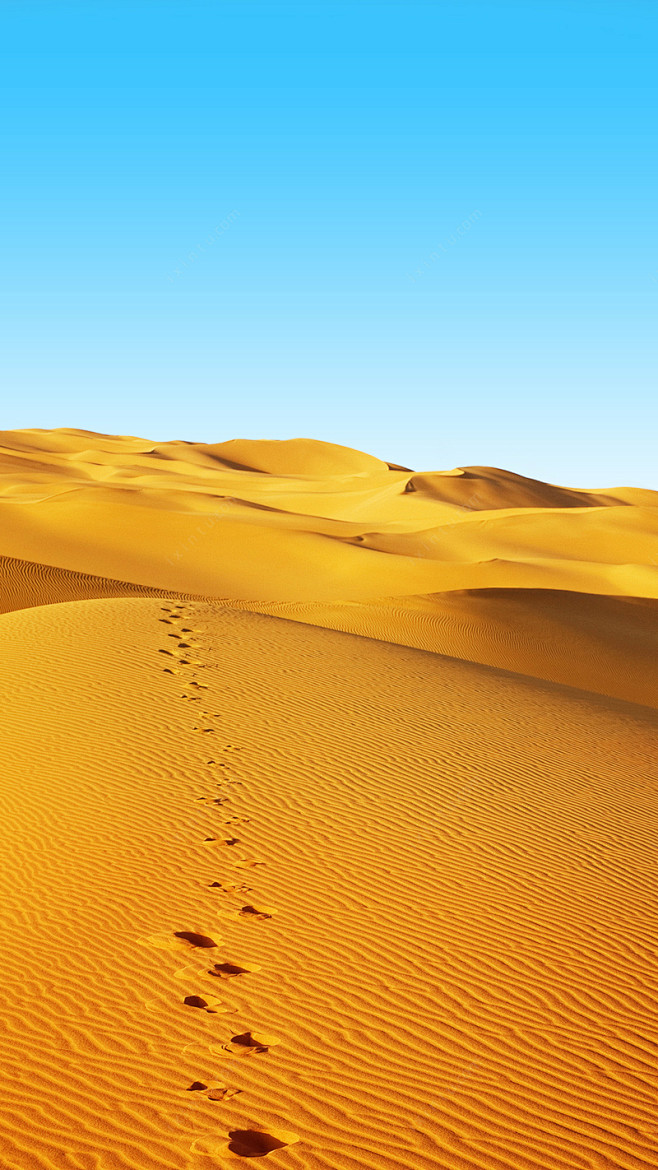 黄色沙漠H5背景素材jpg背景图_新图网 https://ixintu.com 黄色 沙漠 蓝天 温暖 幸福 H5 摄影 风景