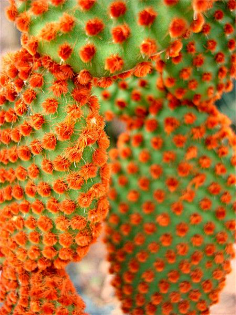 色彩-orange-花瓣网|陪你做生活的设计师