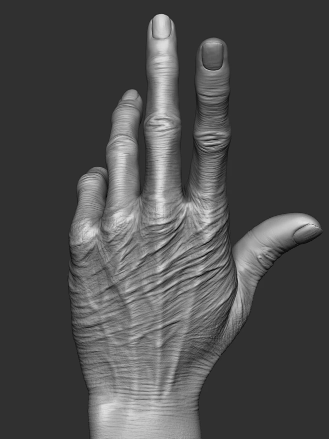 Hand Study : Sculpt-花瓣网